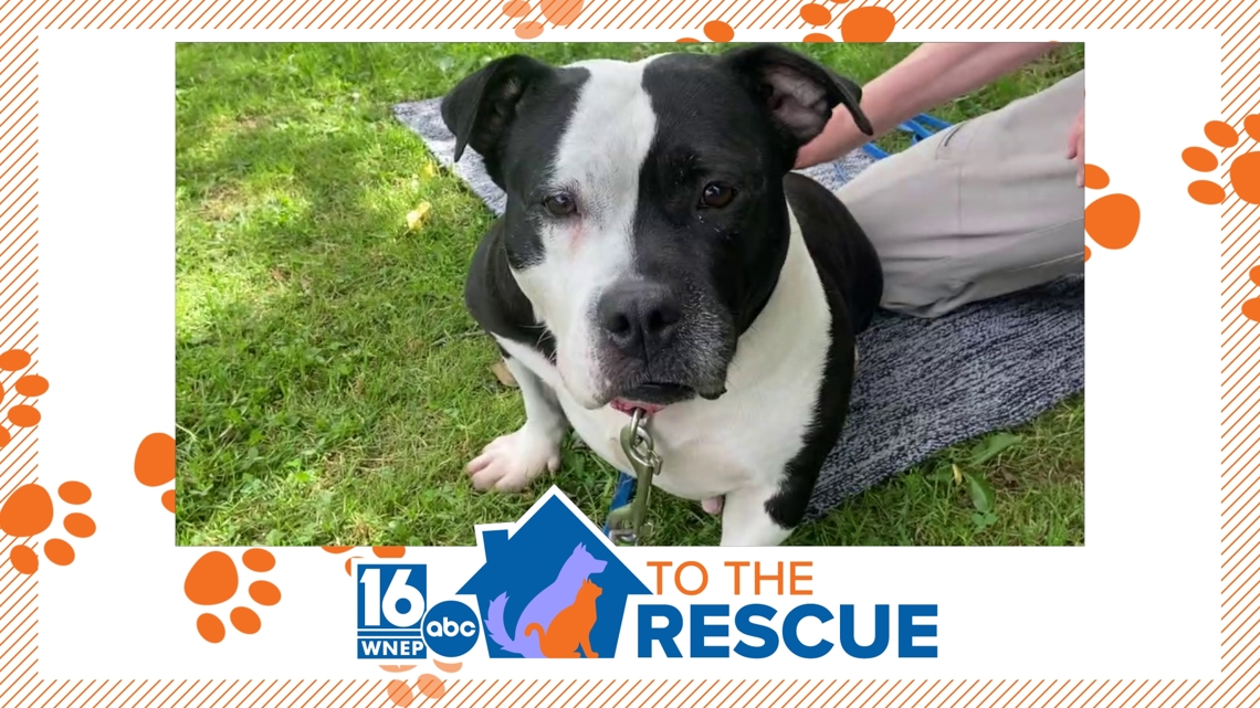 Alexandra Gallo - Journalist Profile - Intelligent Relations