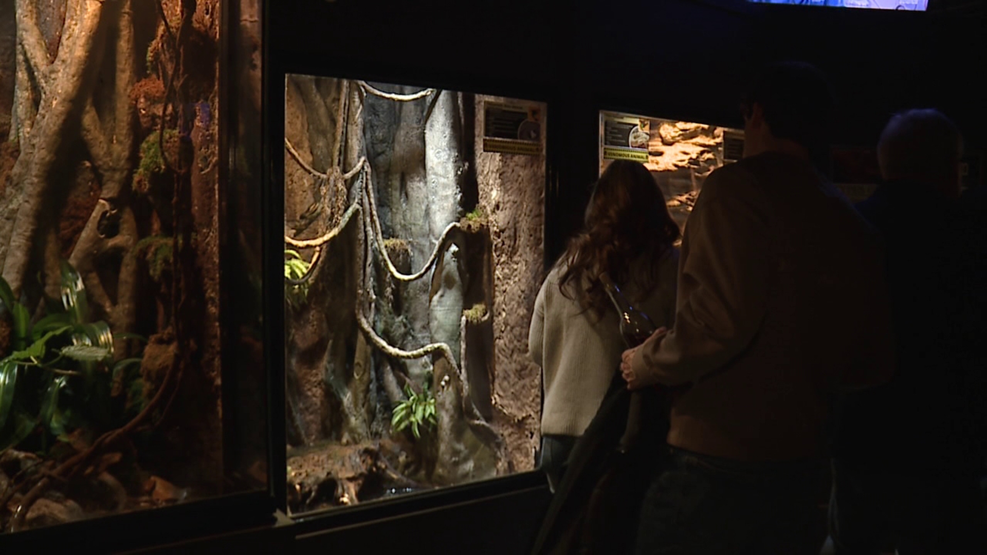 Patriots' Drake Maye faces Broncos' D and Jarrett Stidham steps in for ...