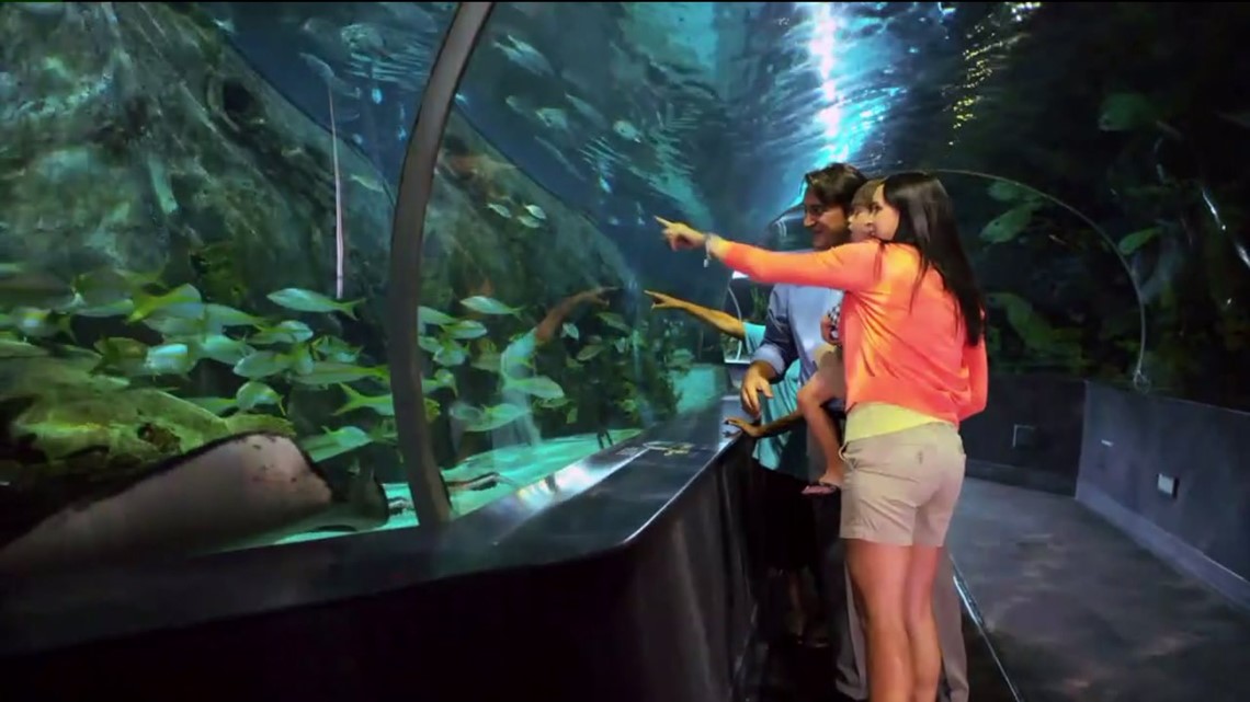 Ripley’s In Talks to Put Aquarium in the Poconos | wnep.com
