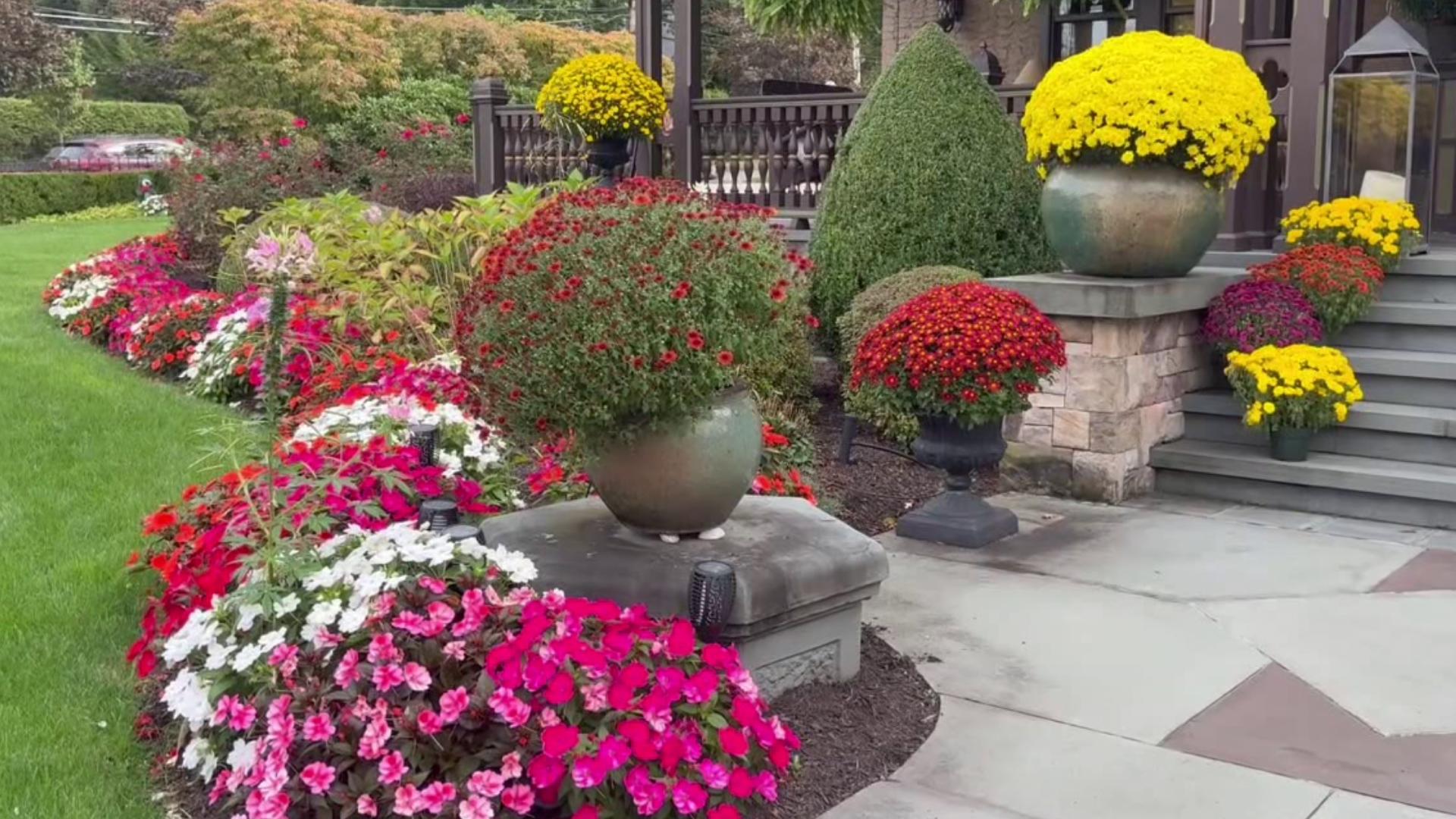 When to expect the first frost of the season | wnep.com