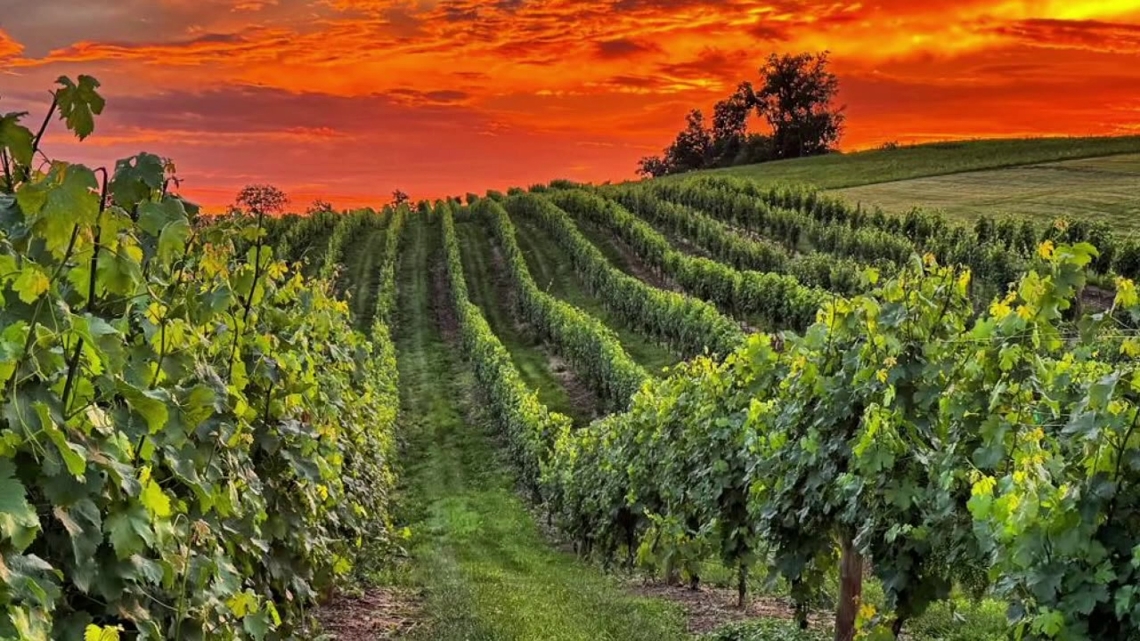 Busy scenes | PhotoLink Library | wnep.com