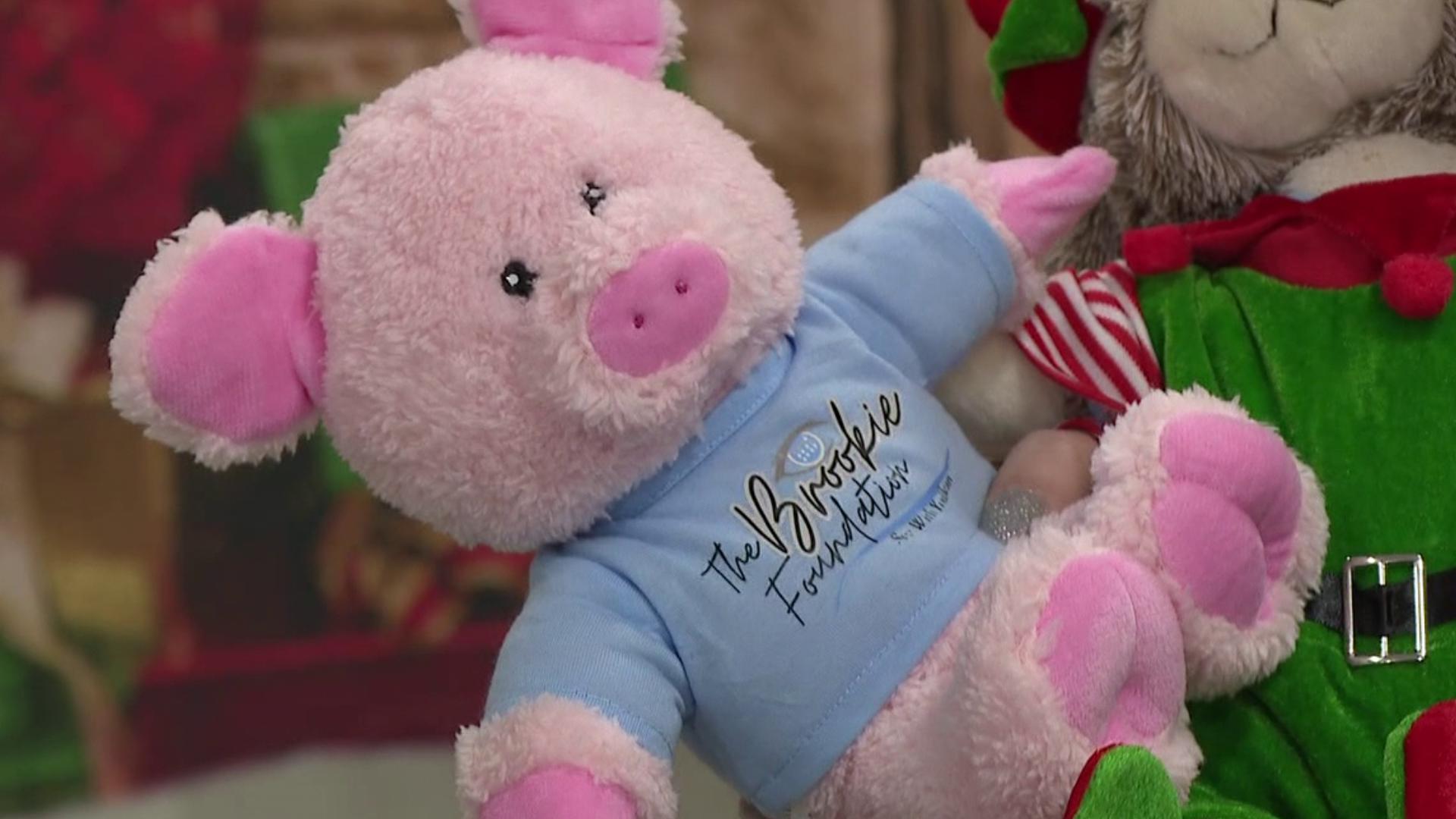 Woman keeping 'Aly's Monkey Movement' alive through new 'Brookie ...