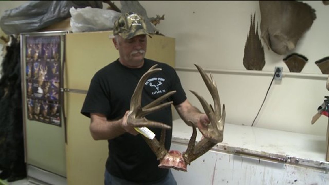 Hunter Nabs 16-Point Buck | wnep.com
