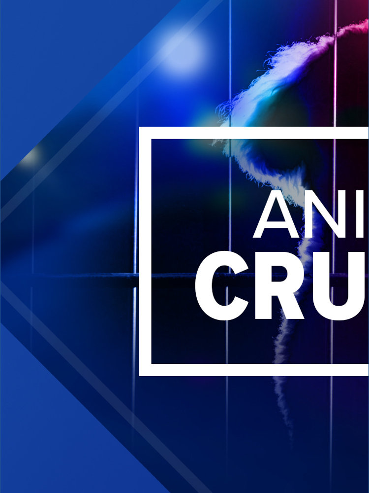 Ex-Lackawanna officer charged with animal cruelty | wnep.com