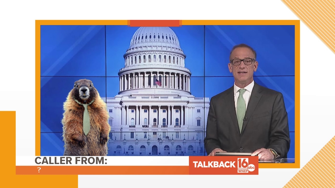 Callers nominate the backyard groundhog for anchor | Talkback 16 | wnep.com