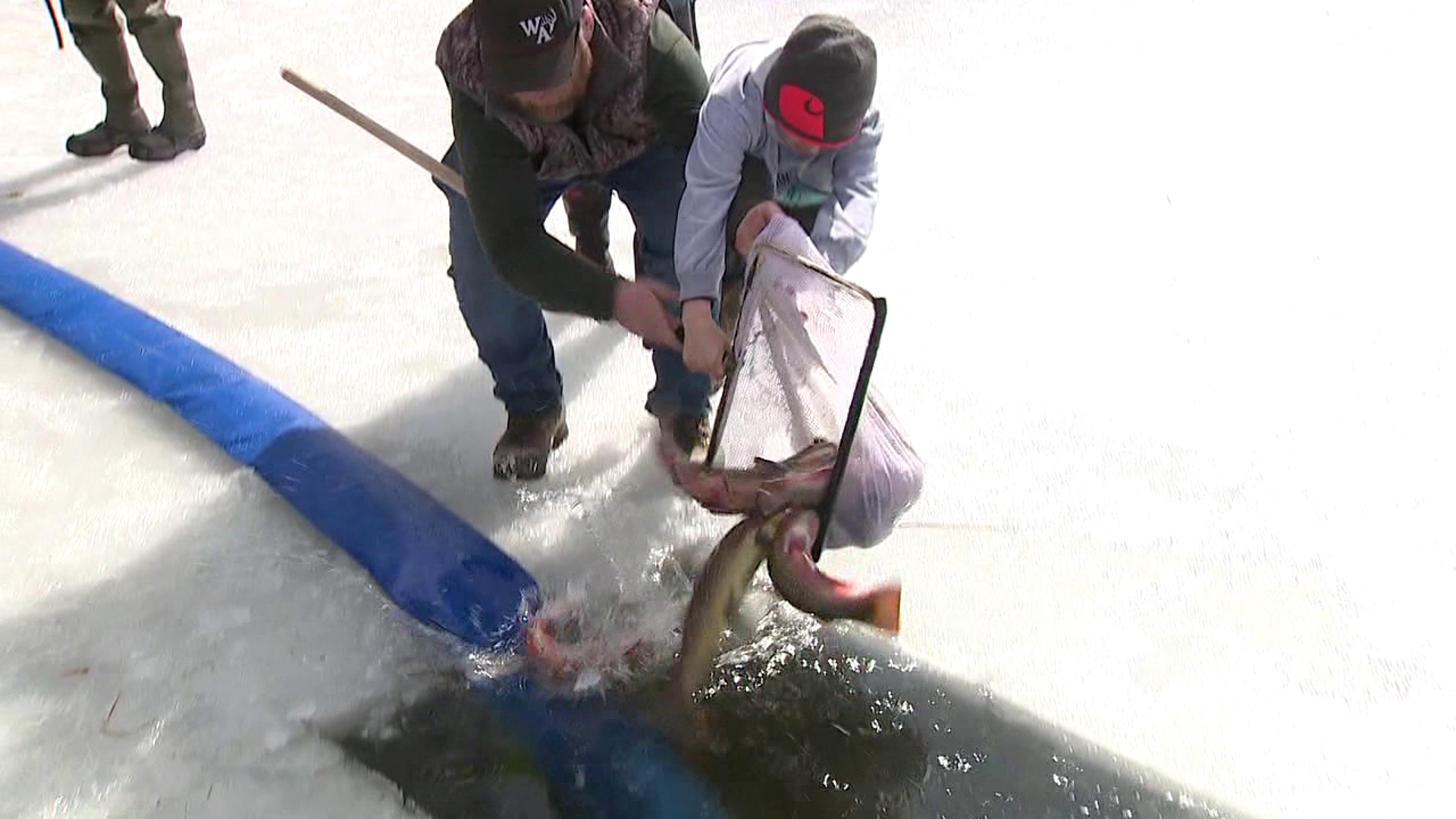 Stocking trout at Lake Minisink | wnep.com