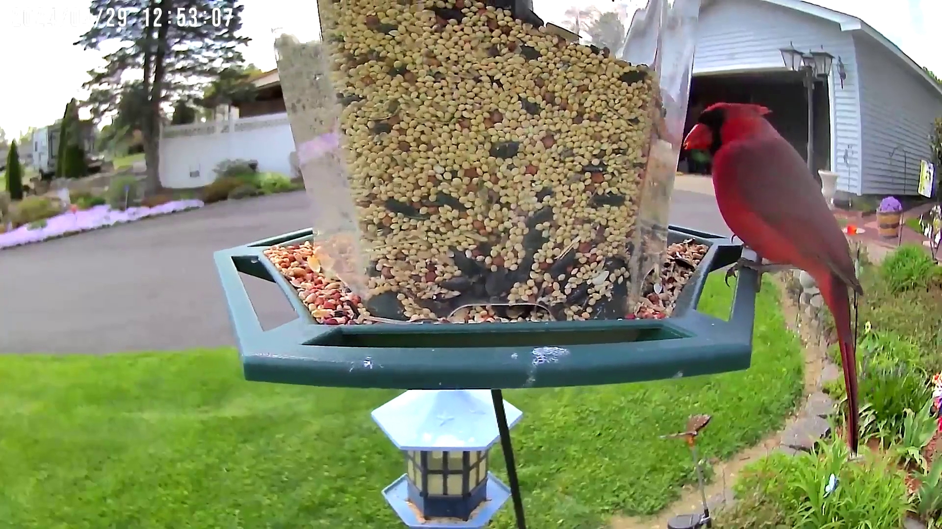 Wildlife Wednesday, May 8 | wnep.com