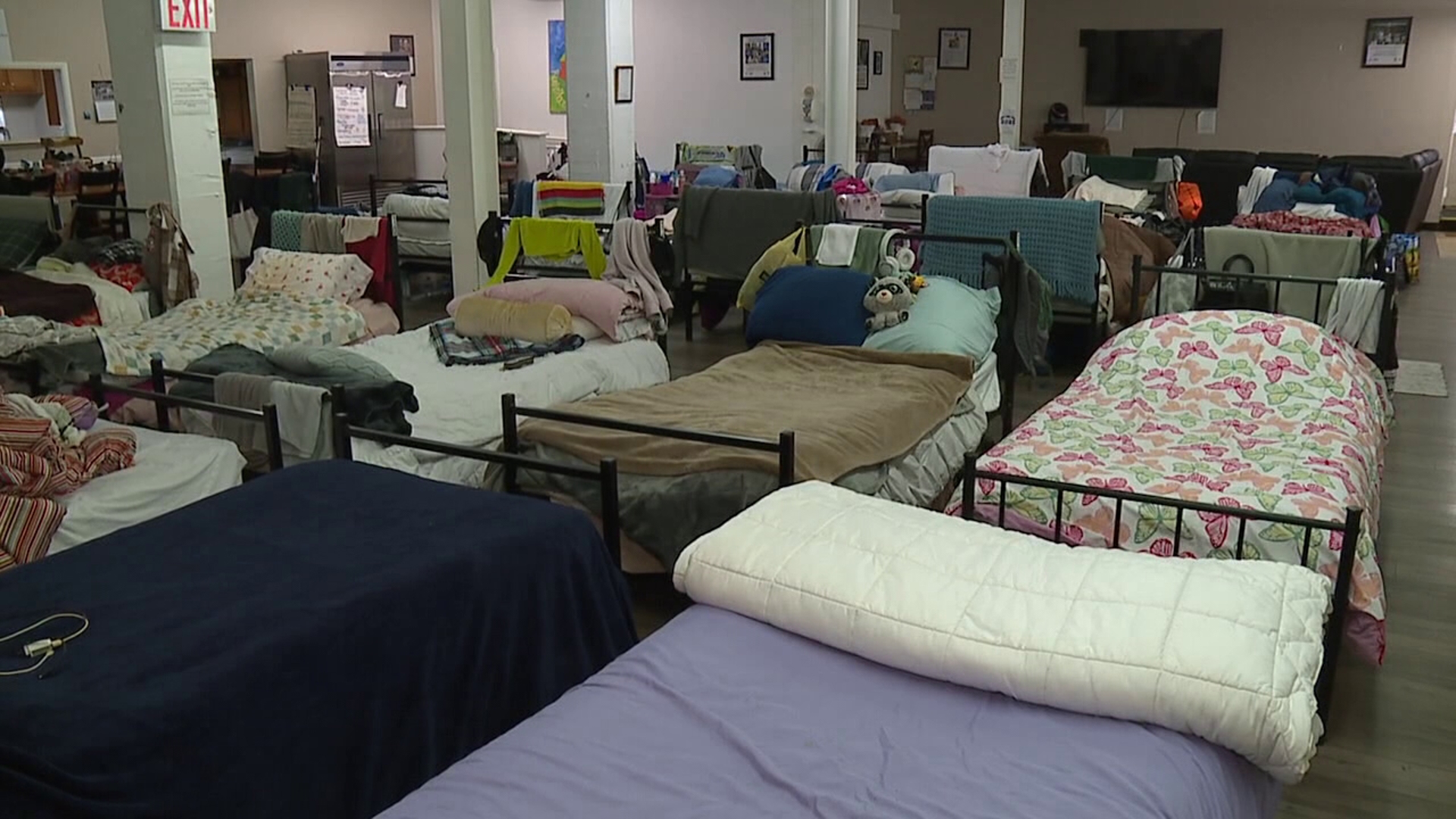 Ruth's Place hosts 17th Walk for Hope fundraiser | wnep.com