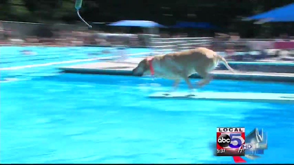 Dogs dip into Ashworth Pool to close summer season | weareiowa.com