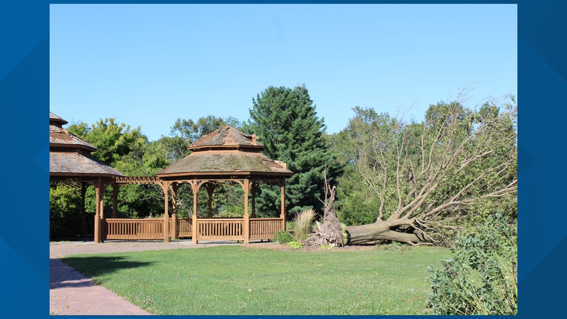 Iowa Arboretum & Gardens looks to Iowans for 'releaf' after Monday's ...