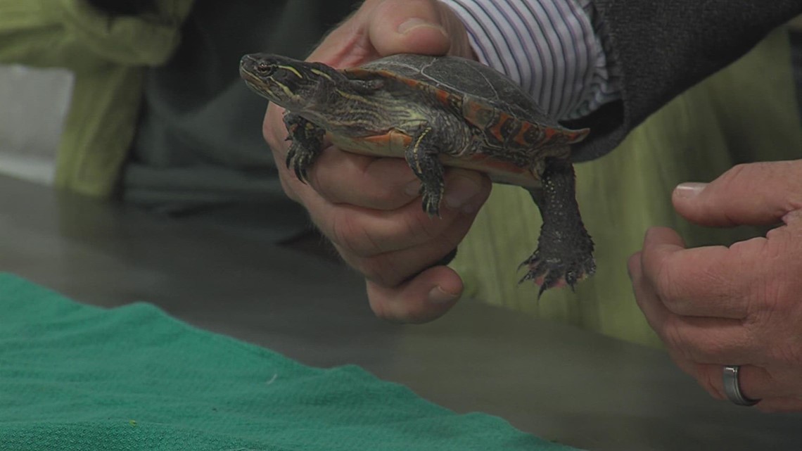 "Open Hearts, Open House" event at Iowa Wildlife Center WildWay ...