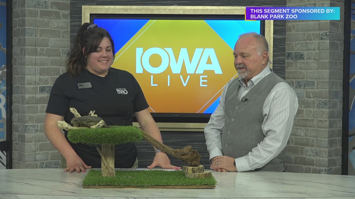 Mango and Tango, Blank Park Zoo's newest ambassador animals, make their ...