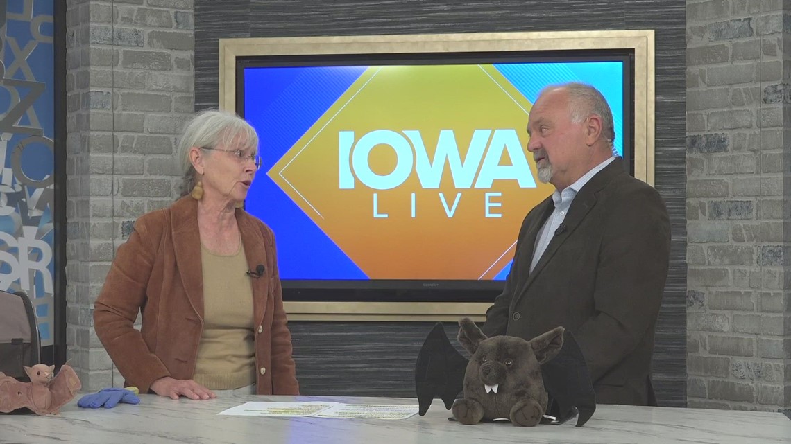 Bat Appreciation Day with the Iowa Wildlife Center | weareiowa.com