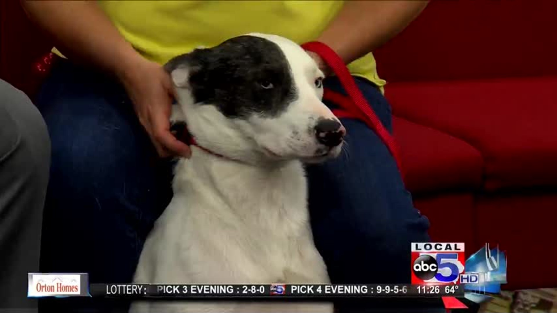 AHeinz 57 with Max | weareiowa.com