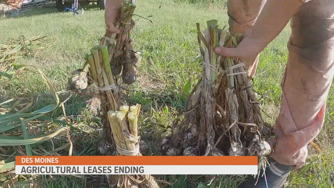City of Des Moines ends agriculture leases for local urban farmer ...