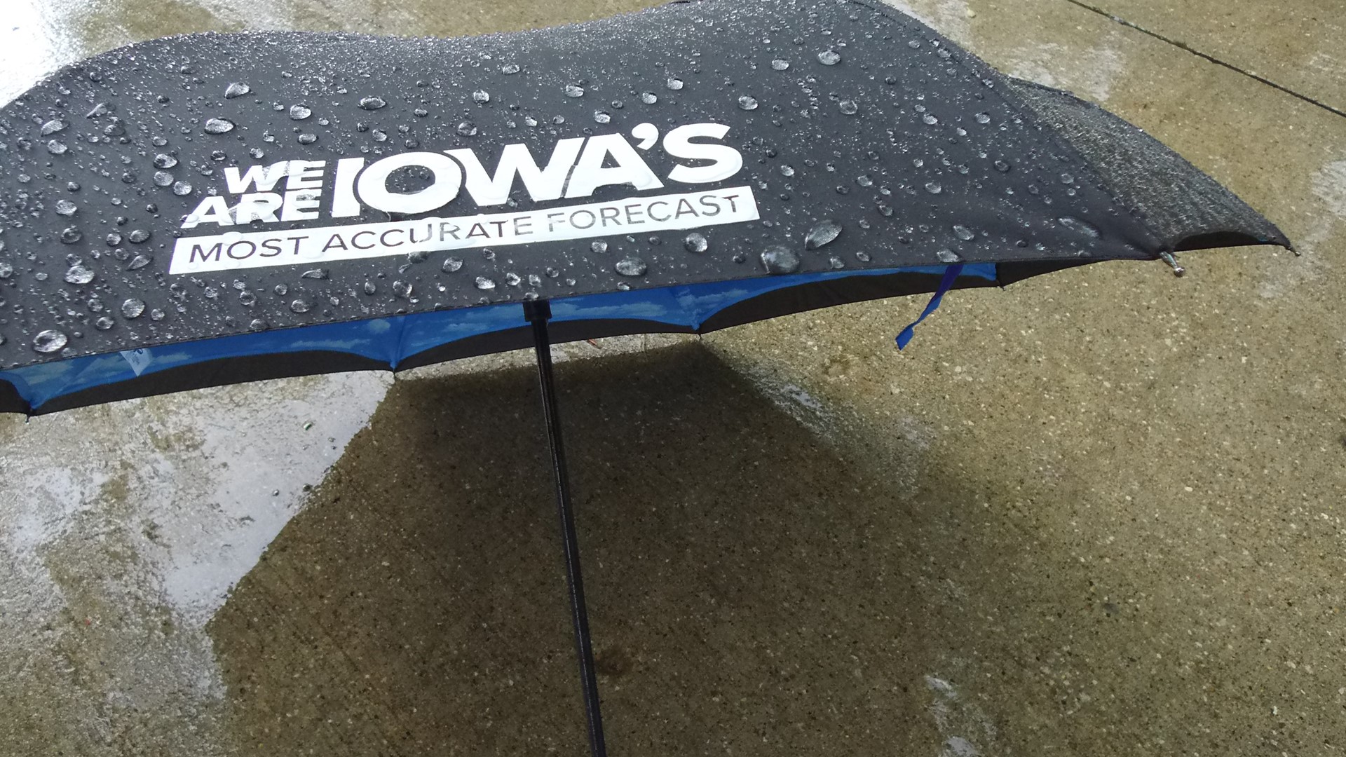25 Umbrellas for 25 Years of Brad Edwards Giveaway | weareiowa.com