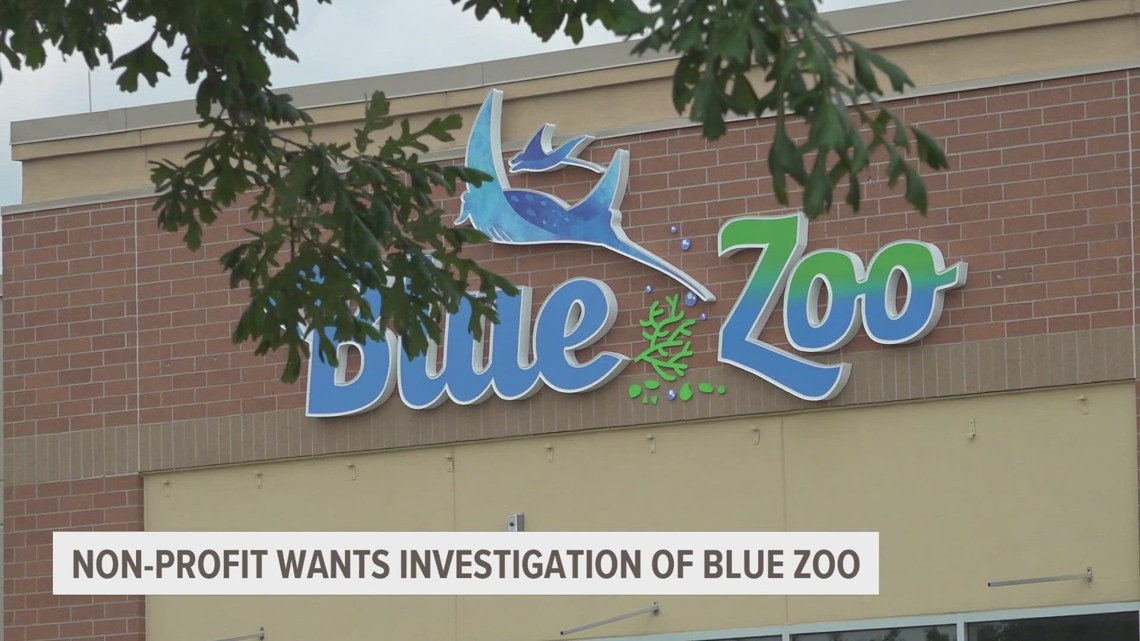 Blue Zoo Aquarium in West Des Moines euthanizes shark that bit staff ...