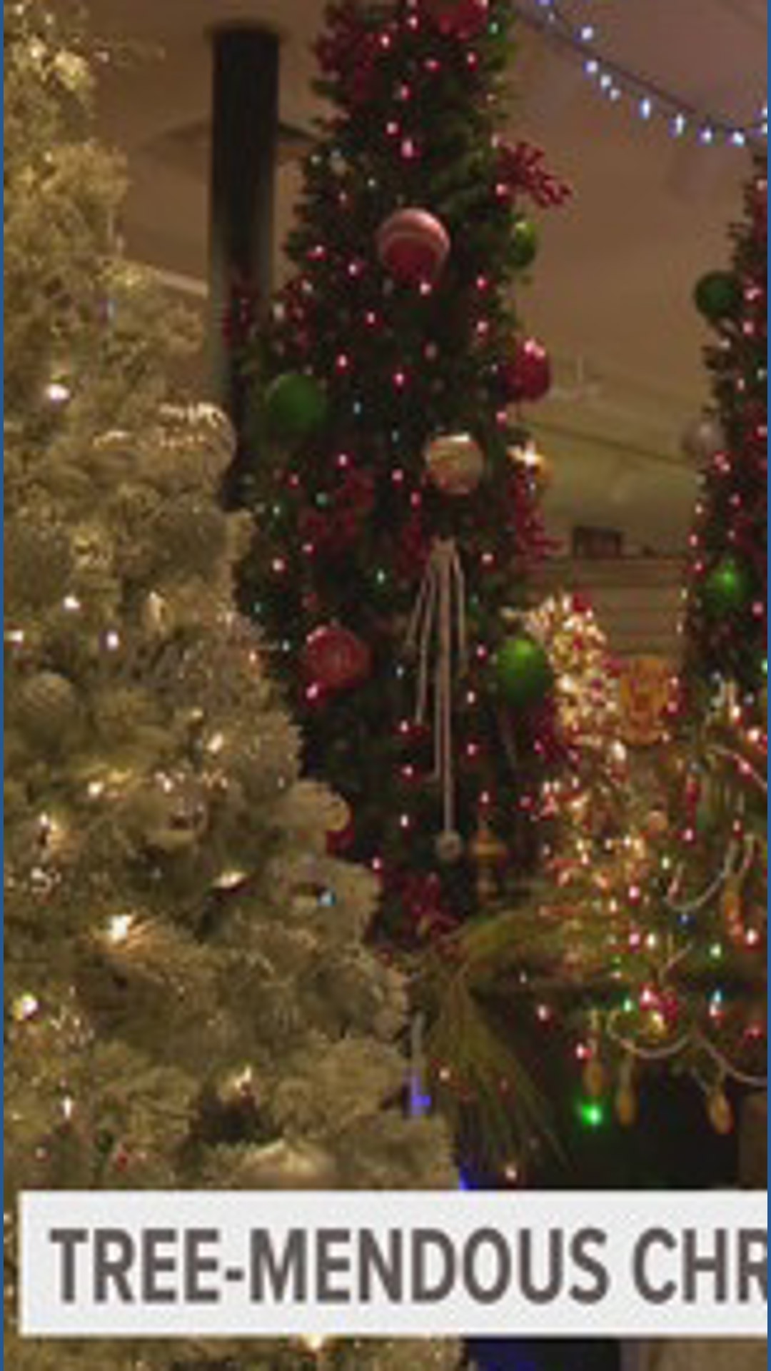 Tree-mendous Christmas tradition returns to Newton | weareiowa.com