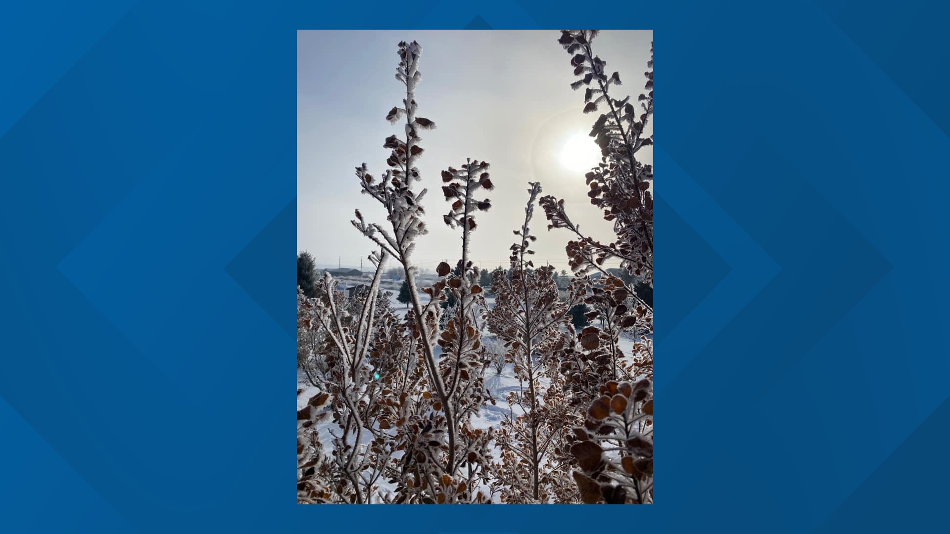 The difference between hoar frost and rime ice | weareiowa.com