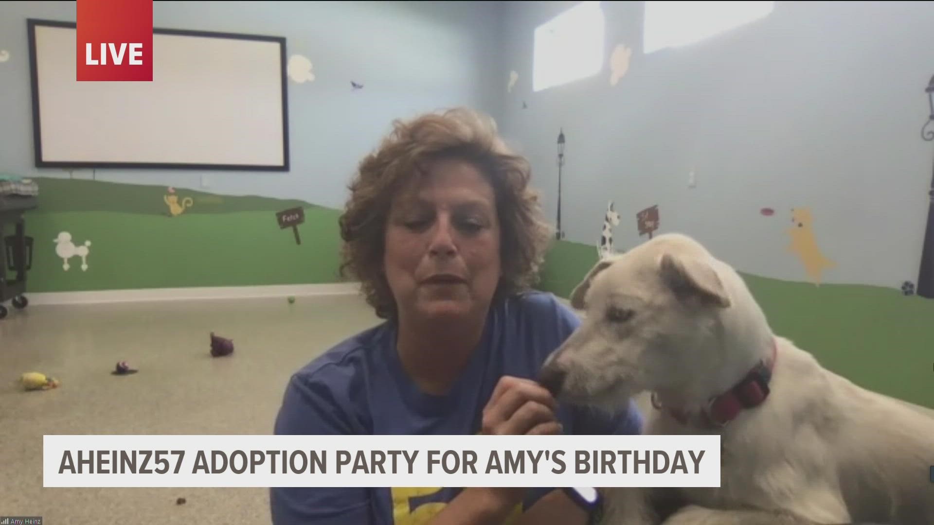 Party with puppies: AHeinz57 hosts 'adoption party' for owner's ...