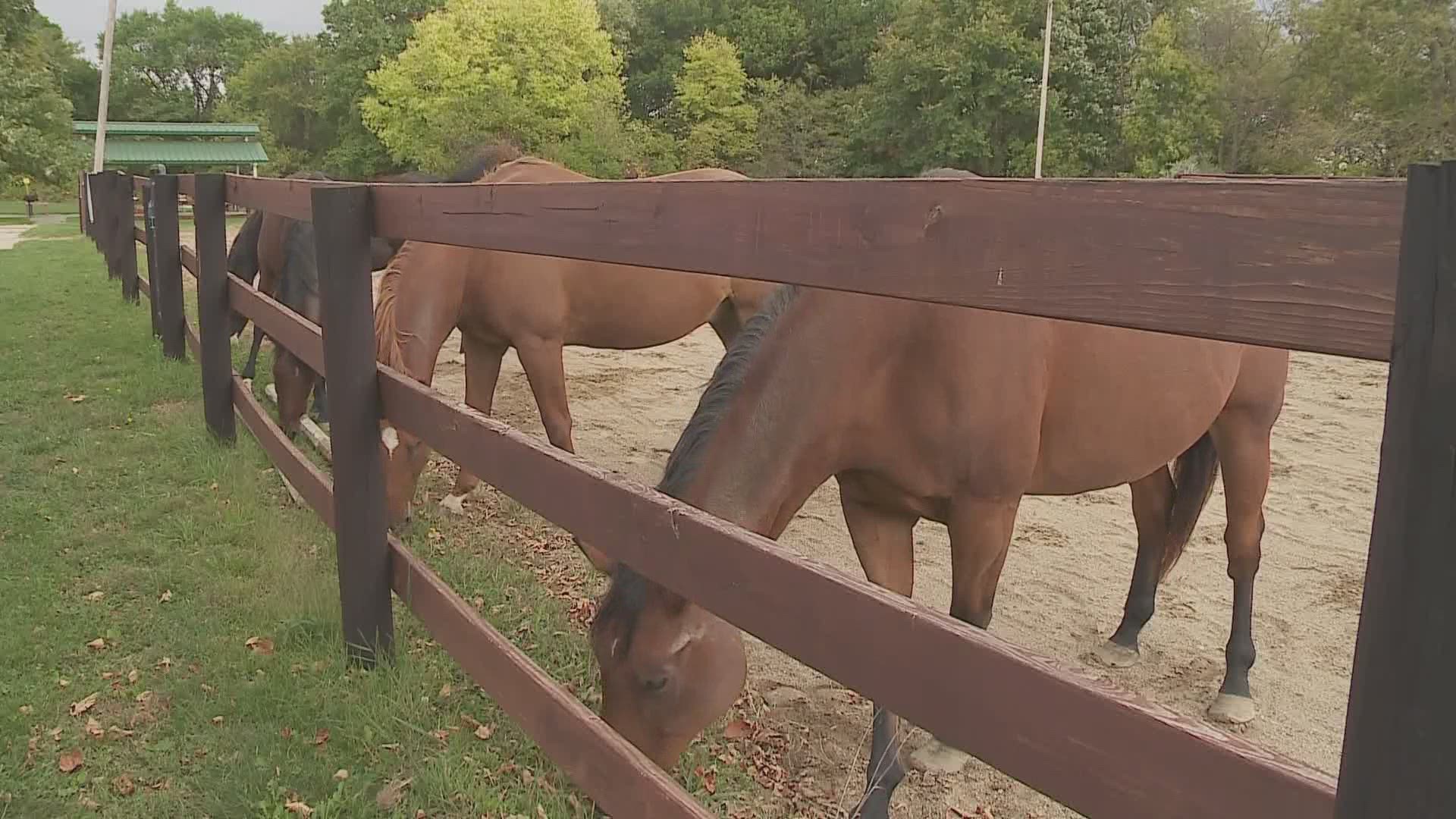 'Horses Helping Heroes': Jester Park Equestrian Center receives $100K ...