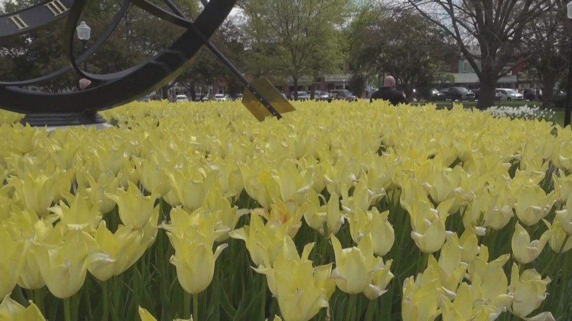 Latest local headlines: Improving Iowa water quality, weather impacting ...