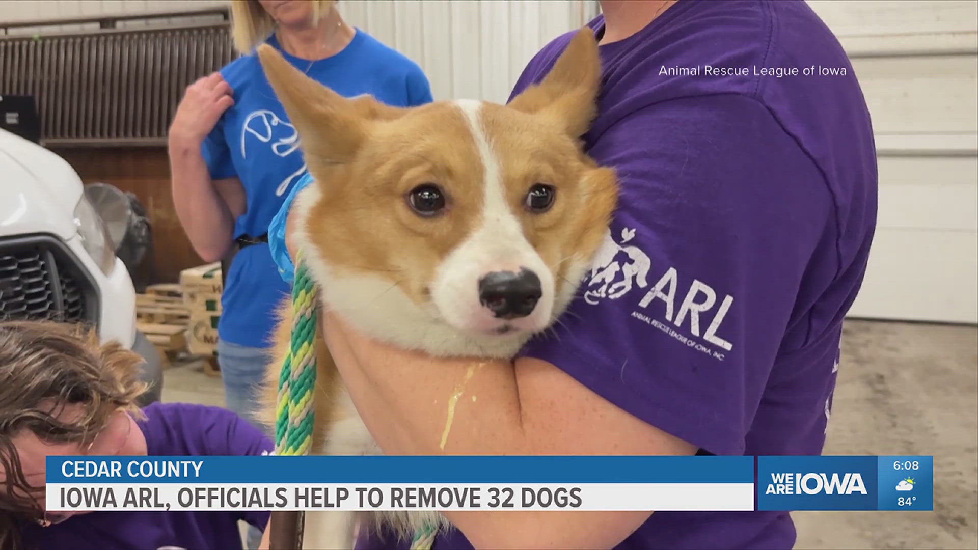ARL of Iowa, officials rescue 32 dogs from Cedar County home ...