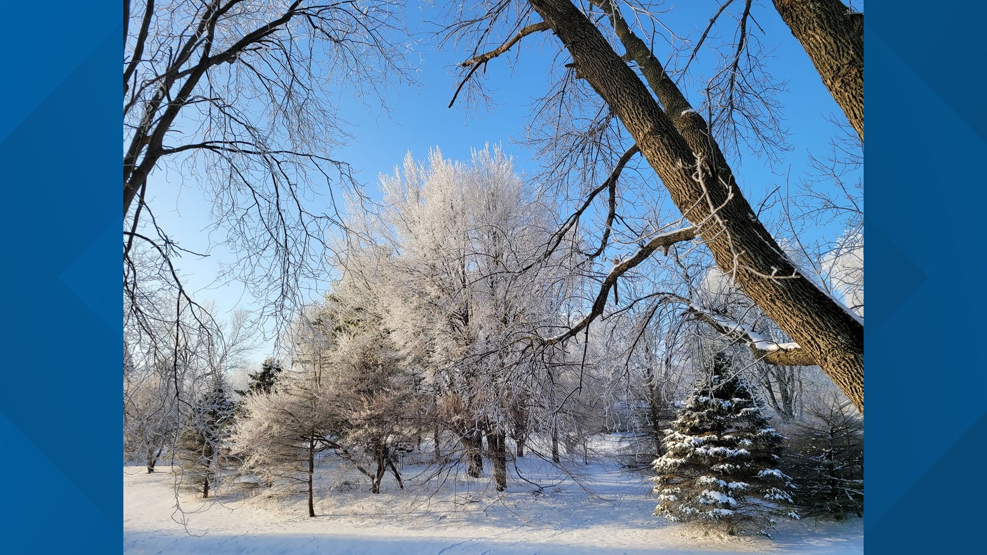 The difference between hoar frost and rime ice | weareiowa.com