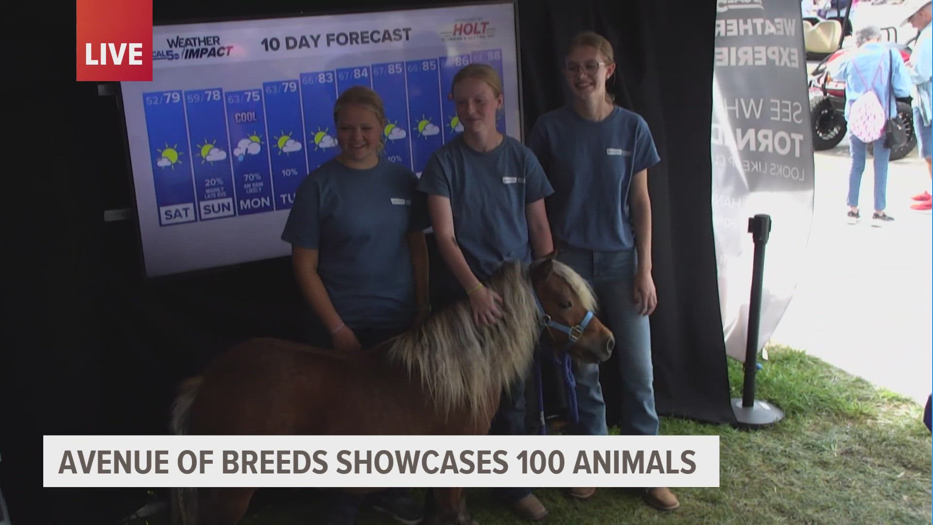 Avenue of Breeds showcases 100 animals | weareiowa.com