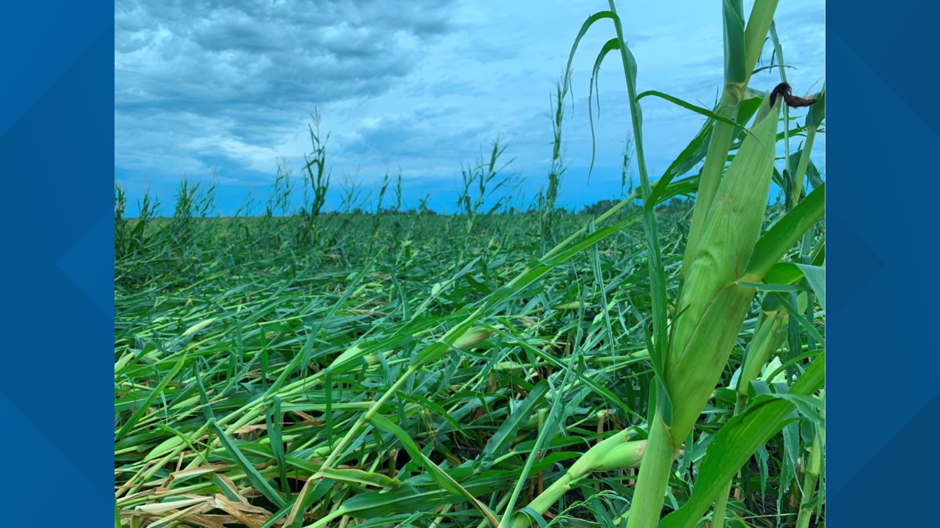 Iowa officials estimate 33% of crops damaged in Monday storms ...