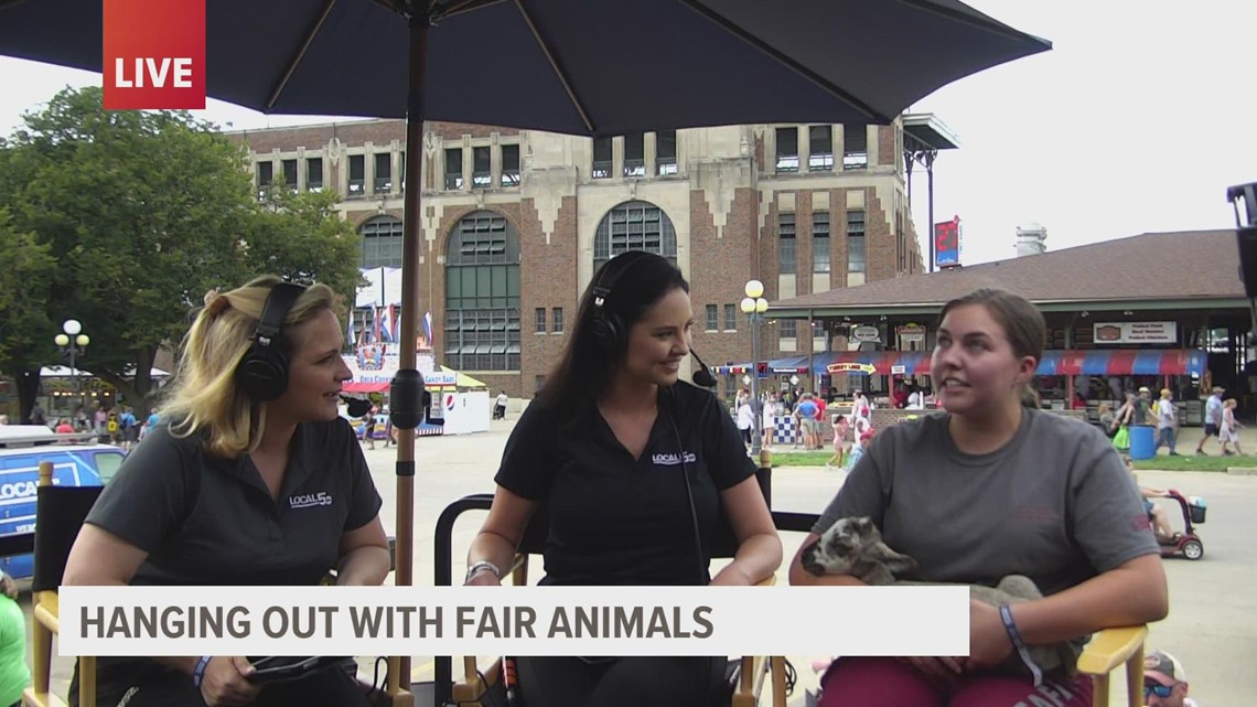 Hanging out with Iowa State Fair Animals (Aug. 12, 2021) | weareiowa.com