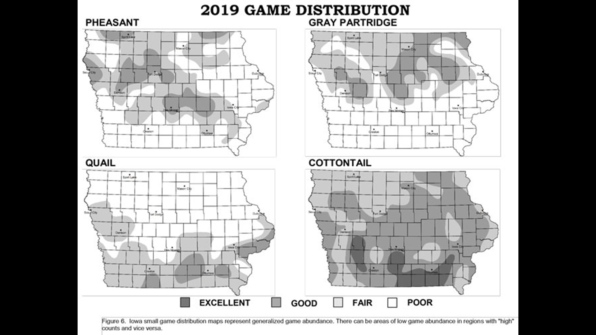 Report: Iowa to see promising 2019 pheasant hunting season | weareiowa.com