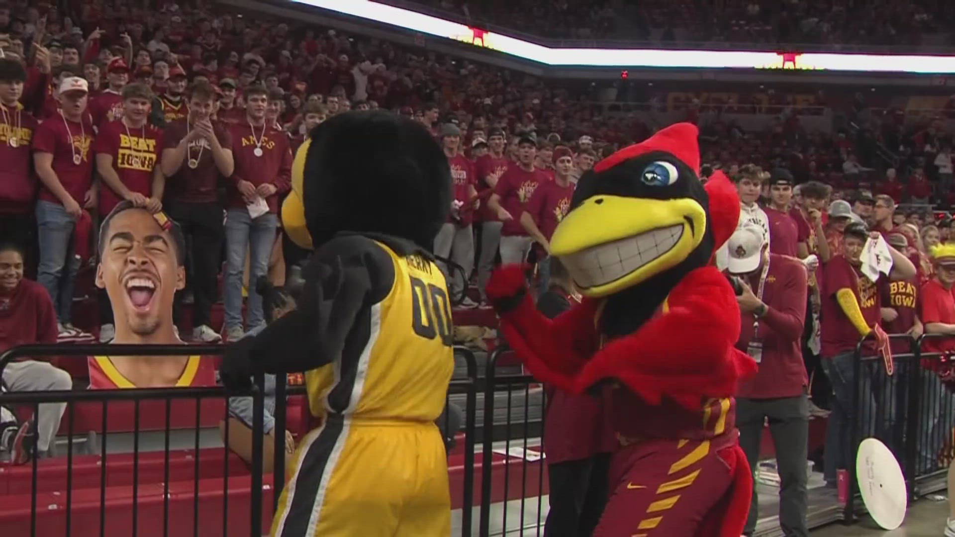Behind the mask: Life as a mascot | weareiowa.com