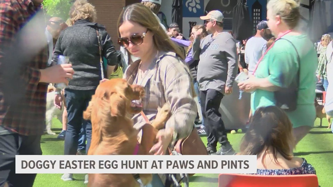 Paws and Pints hosts Easter egg hunt for dogs | weareiowa.com