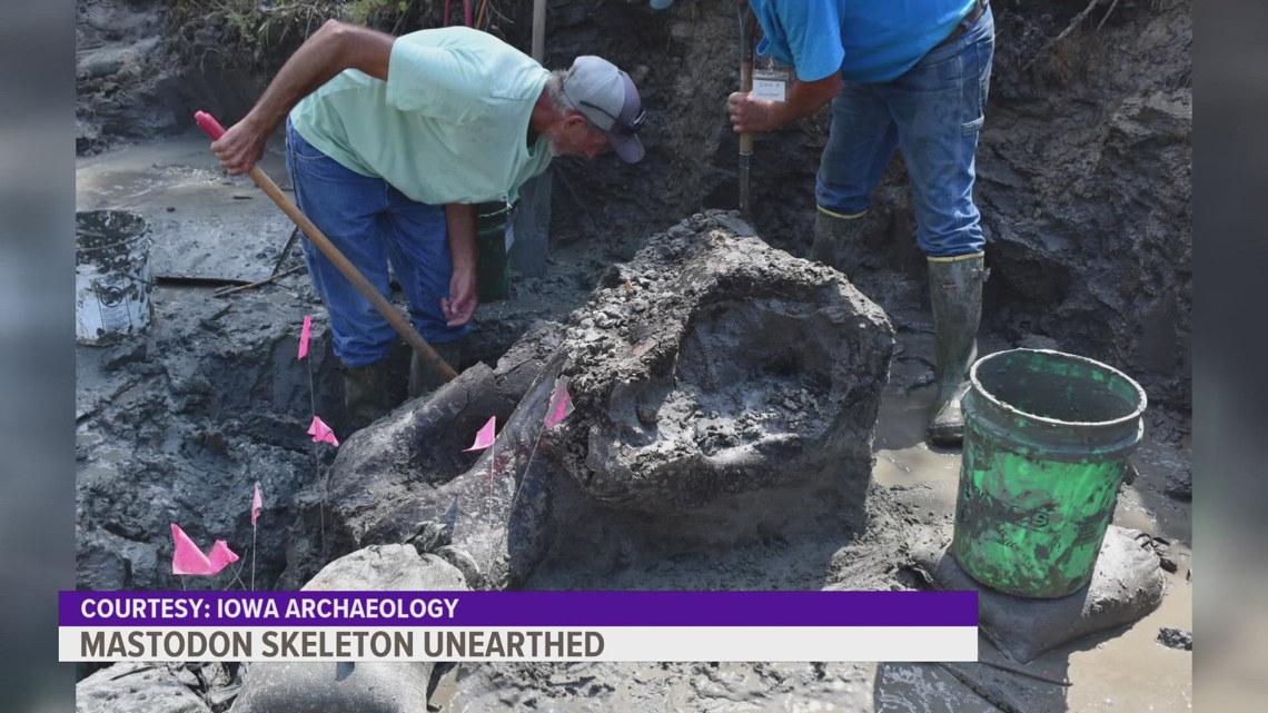 Office of the State Archaeologist: Mastodon skeleton unearthed in Wayne ...