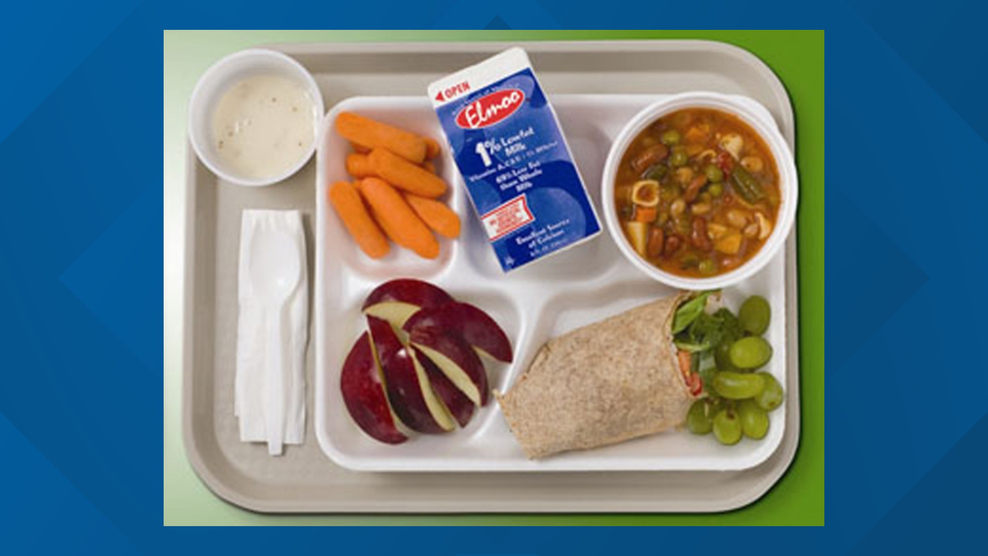 Usda Healthy School Lunches