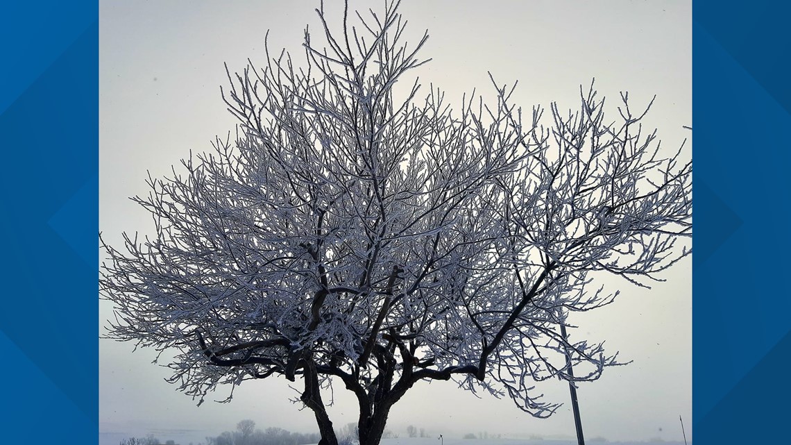 The difference between hoar frost and rime ice | weareiowa.com