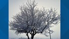 The difference between hoar frost and rime ice | weareiowa.com