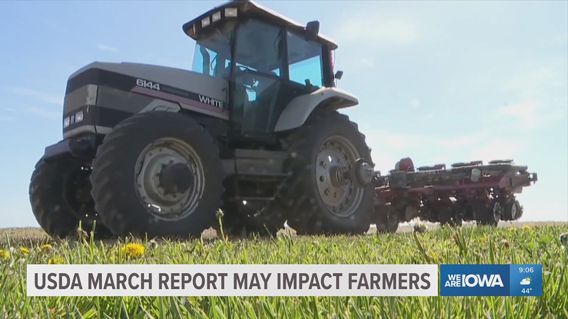 USDA: Report may impact farmers and crop prices | weareiowa.com