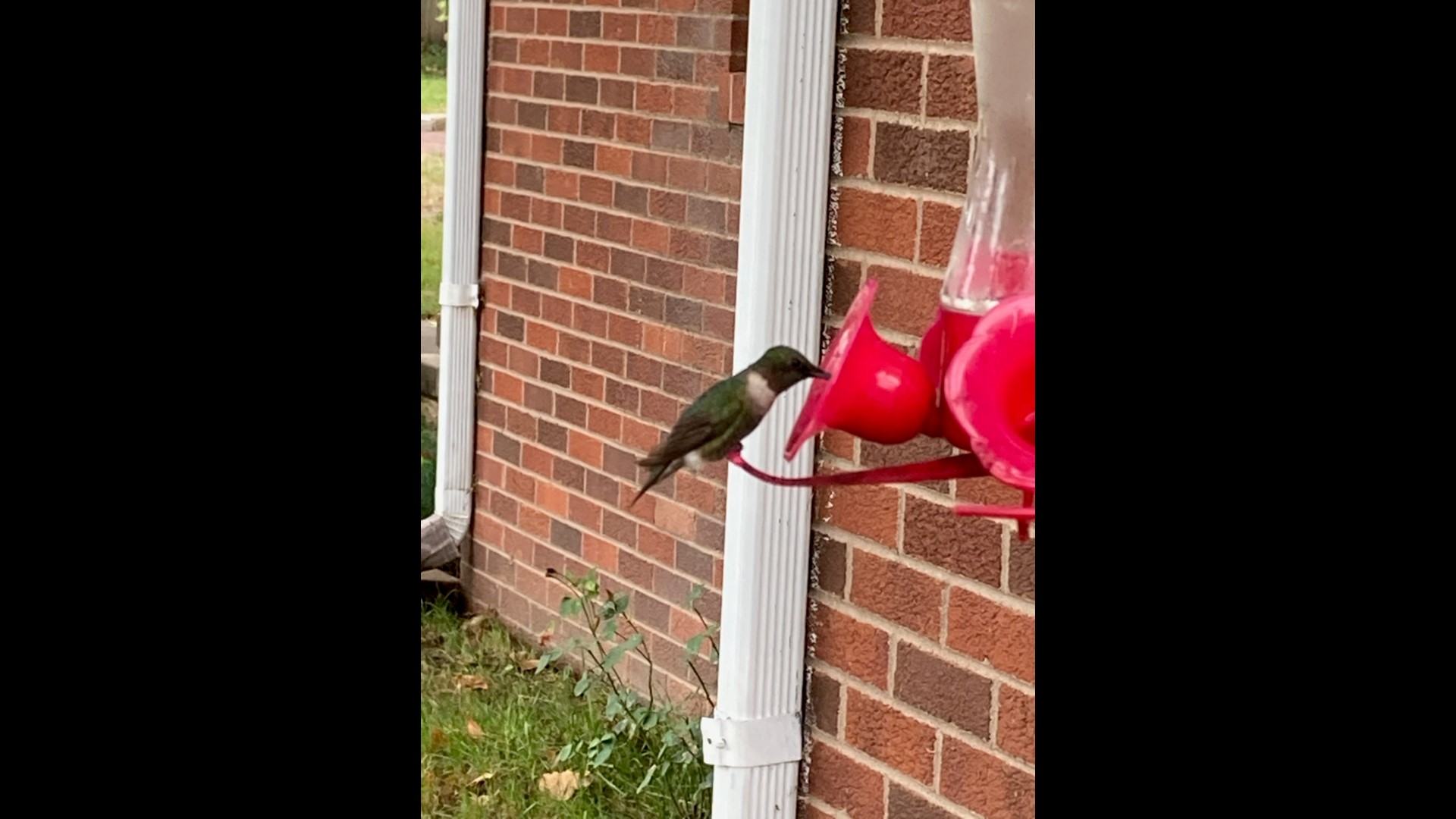 Happy Moments: squirrel surprise + save the beards | weareiowa.com