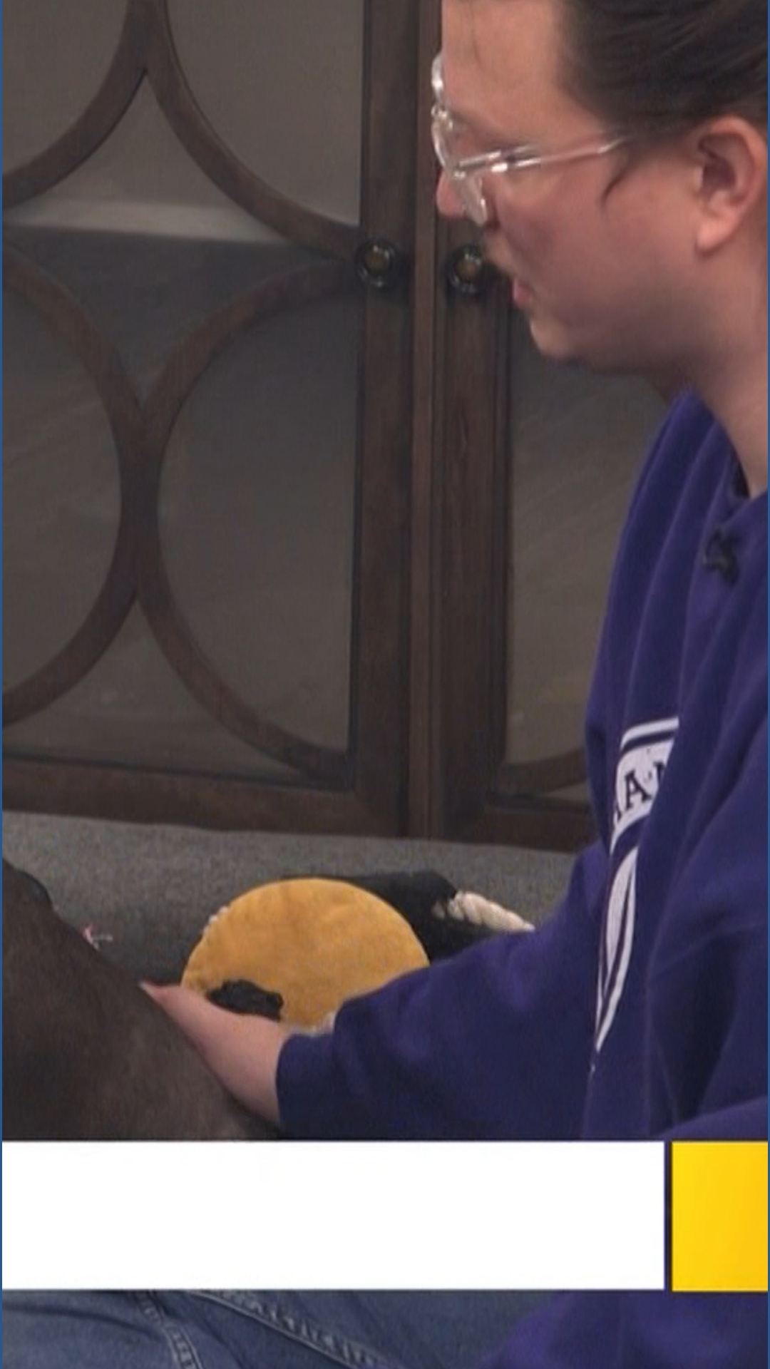 "She's a bundle of love!" Energetic Iris is available for adoption at ...