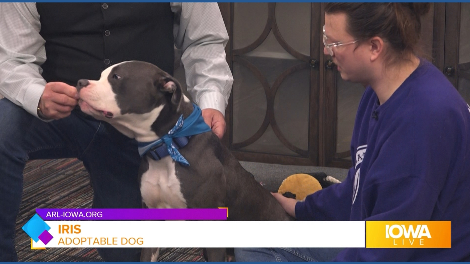 "She's a bundle of love!" Energetic Iris is available for adoption at ...