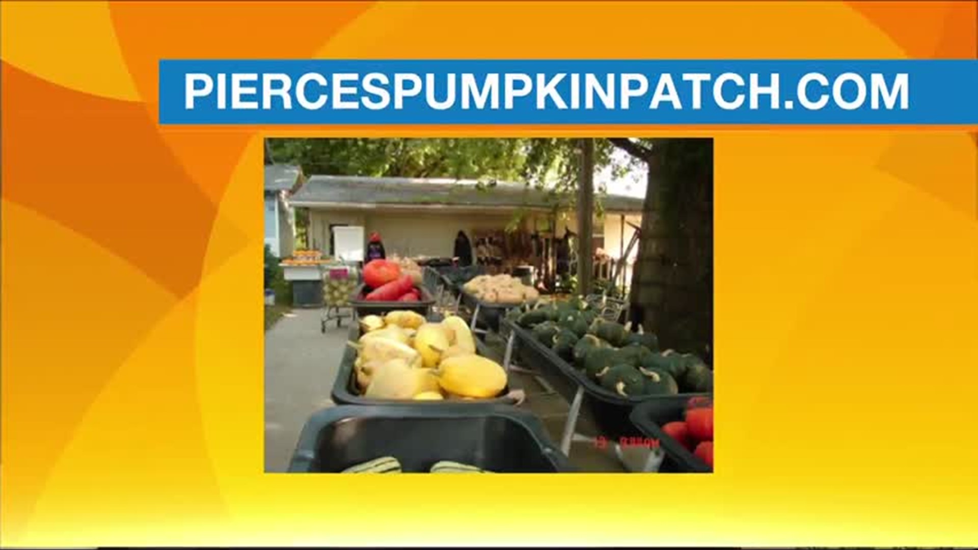 Pierce’s Pumpkin Patch with John, Josh & Justin Pierce | weareiowa.com