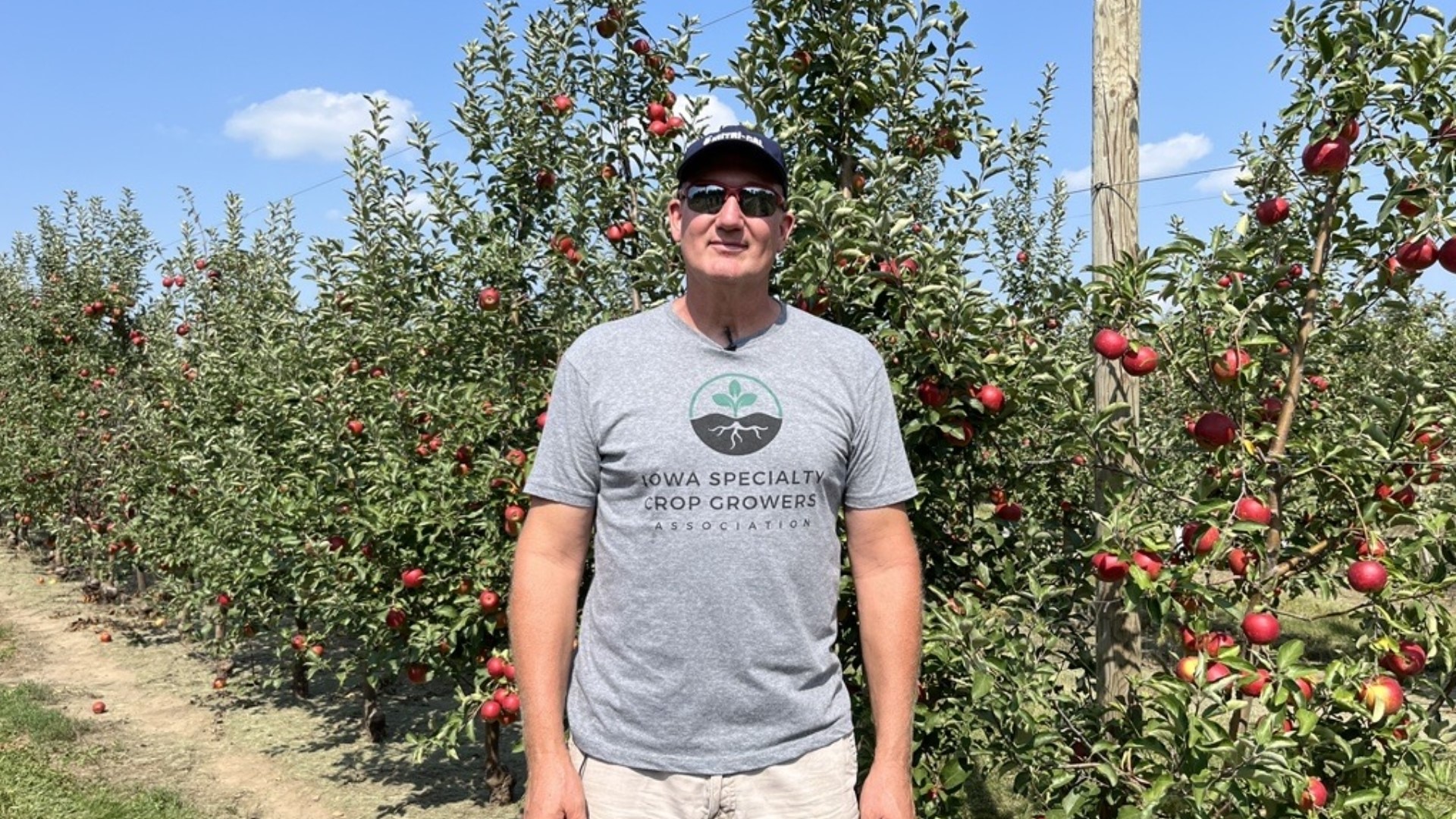 Excessive heat, drought conditions could impact Iowa orchards ...