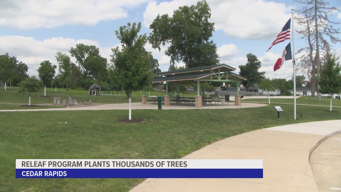ReLeaf Program plants thousands of trees in Cedar Rapids | weareiowa.com
