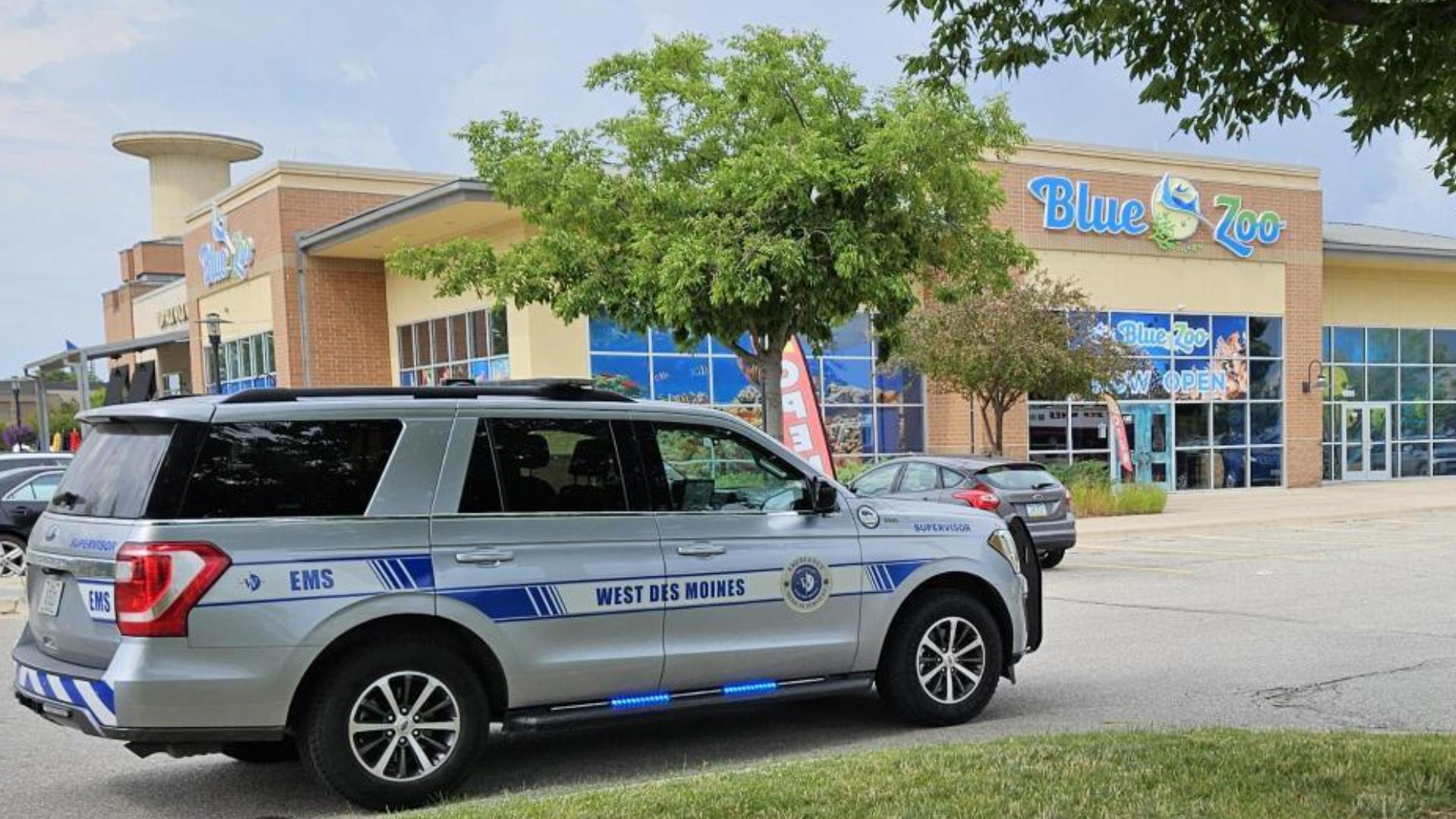 U.S. Humane Society pushes for investigation following shark bite ...