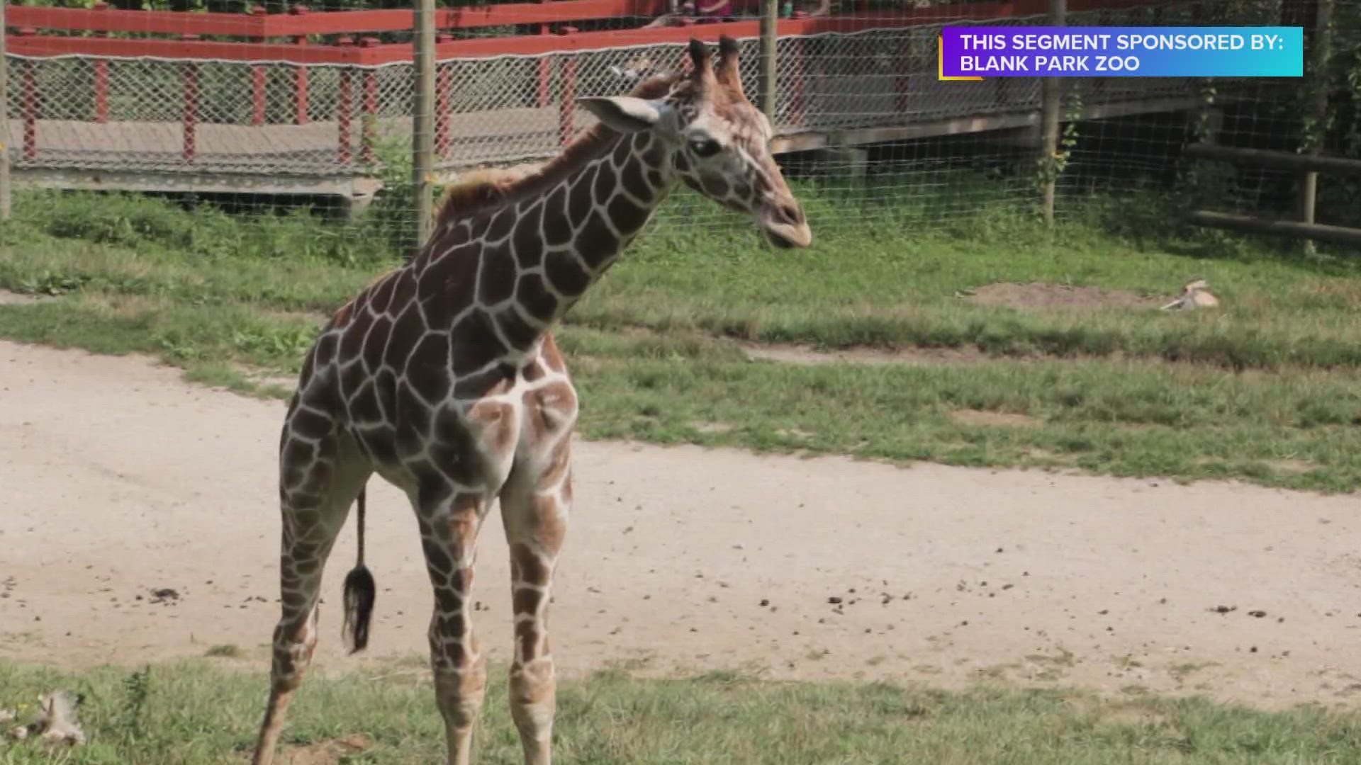 Blank Park Zoo Entrance