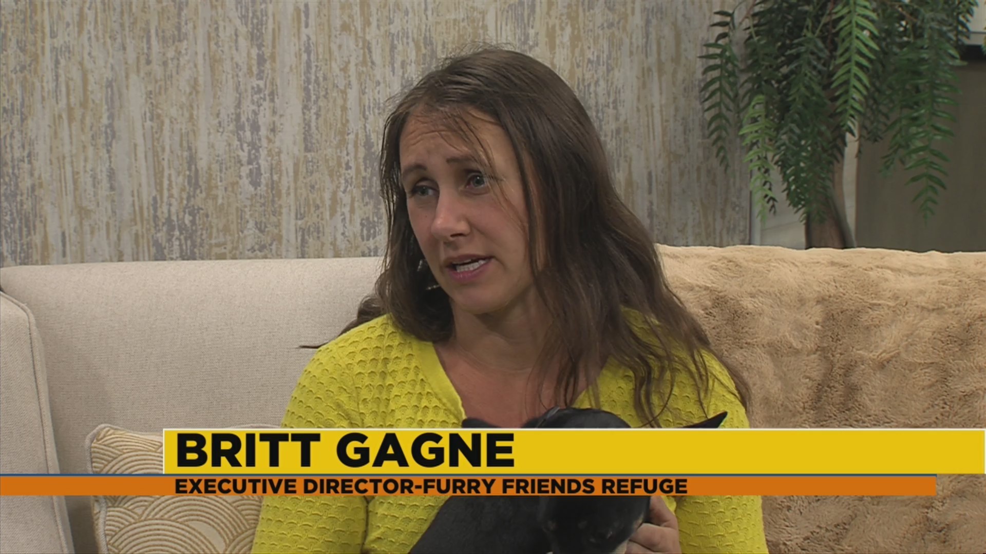 Furry Friends Refuge with Britt Gagne | weareiowa.com