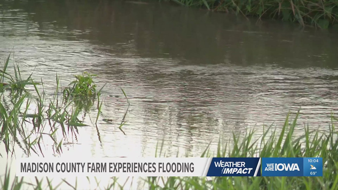 Madison County farm experiences flooding | weareiowa.com