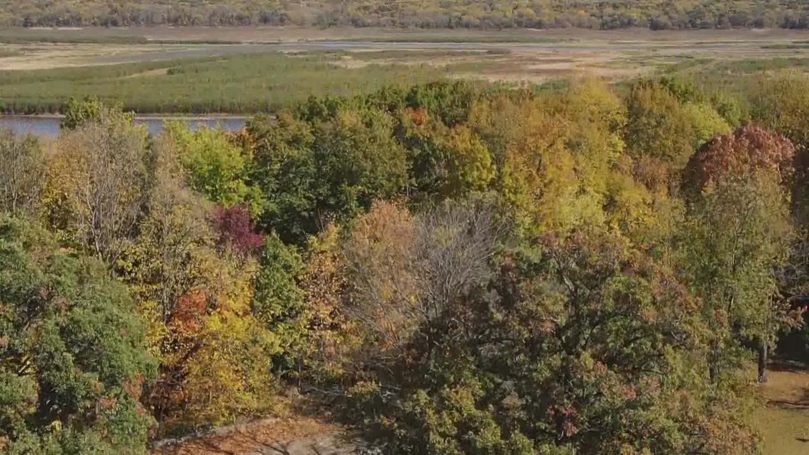 WATCH: Iowa forests start showing off their fall foliage | weareiowa.com